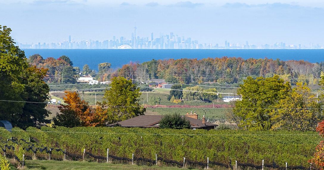 Café ACI | Ville ou campagne? L’importance de l’intuition